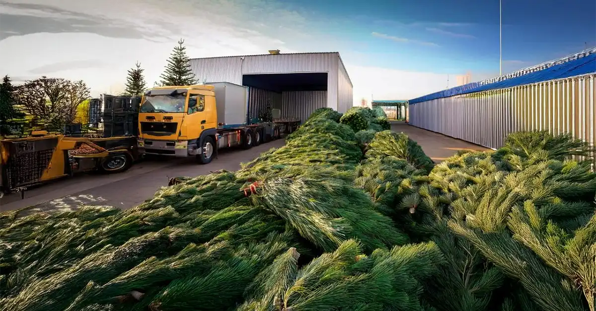 NKY Christmas Tree Recycling - NKY Recycling